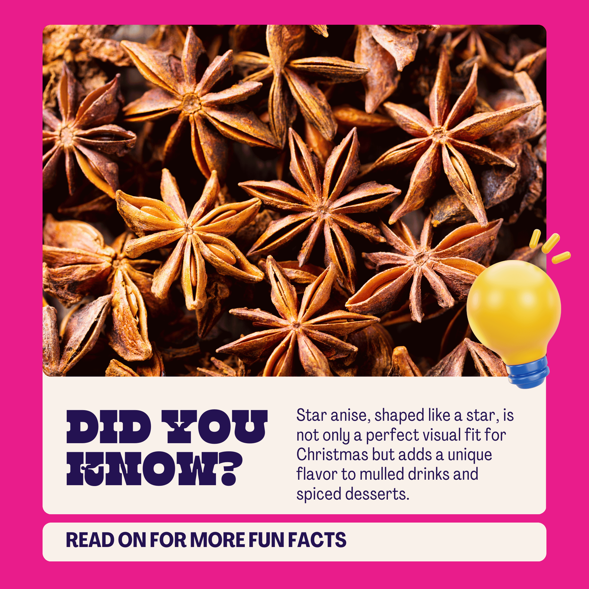 Epic Spice Facts – Spice Pots